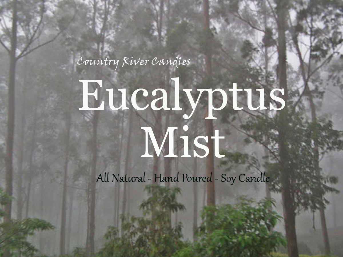 Eucalyptus Mist – countryrivercandles
